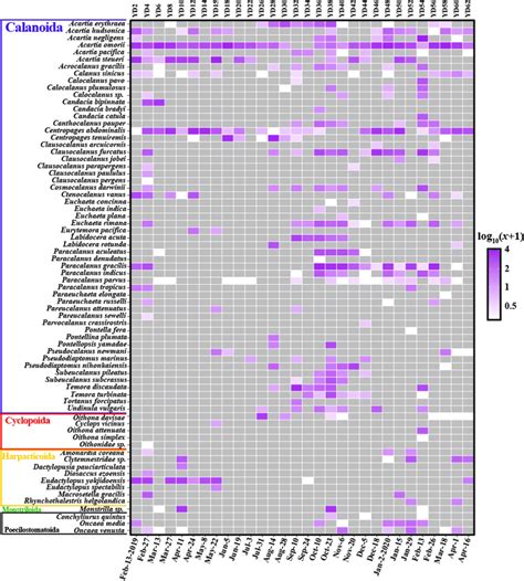 Heatmap Of Subclass Copepoda Each Read Count Is Transformed Download Scientific Diagram