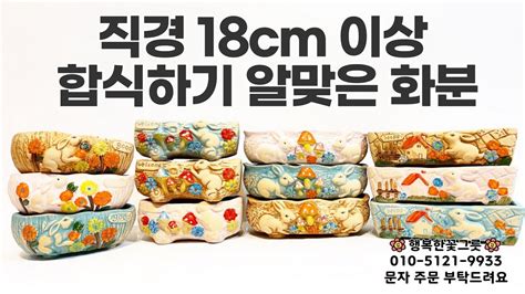 직경 18cm 이상 다육이 합식하기 안성맞춤 넙떼기 화분 계묘년 토끼화분 숲속토끼 몰고가세요🐰 010 5121 9933 행복
