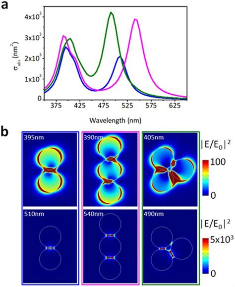 Numerical Simulation Of The Far And Near Field Optical Response Of A