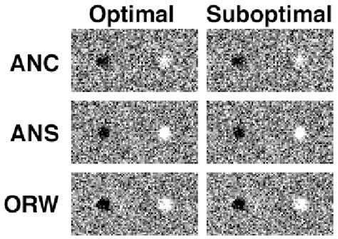 Results Of Experiment 1 Optimal And Suboptimal Classification Images