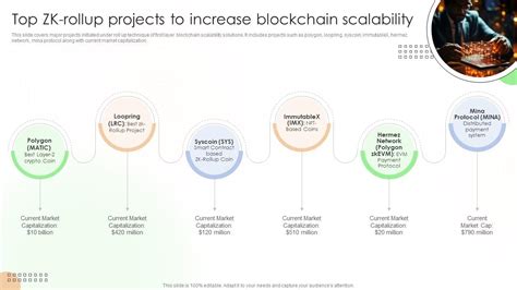 In Depth Analysis Of Blockchain Top Zk Rollup Projects To Increase Blockchain Ppt Template Bct