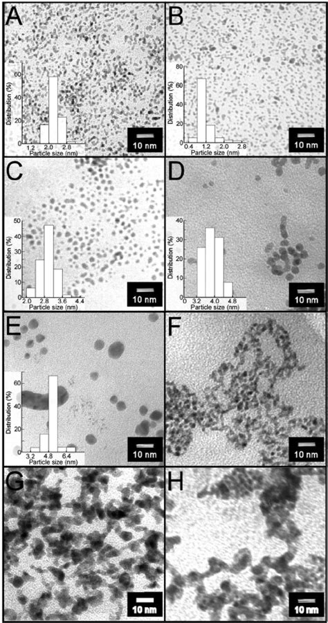 Synthesized Pt And Au Nanoparticles Nps A Pt Nps Prepared By