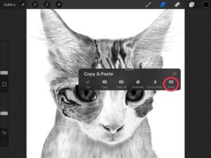 How To Copy And Paste In Procreate The Easy Way Adventures With Art