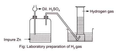 TO PREPARE HYDROGEN GAS IN THE LAB Chemistry Lab Sajha Notes
