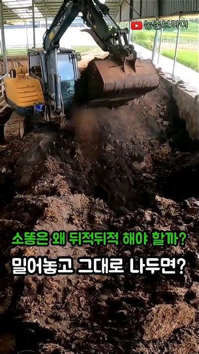 내년 퇴비를 준비하는 굴삭기 농부 Youtube