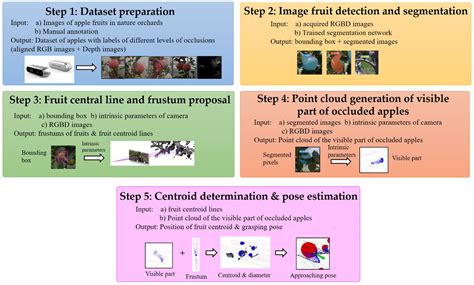 novel 3d fruit localization method to enhance agricultural robots