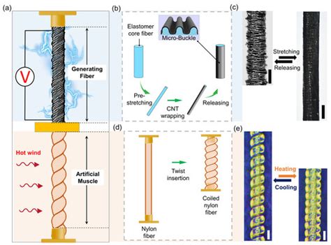 Sensors Special Issue Recent Developments In Sensors For Wearable Device Applications