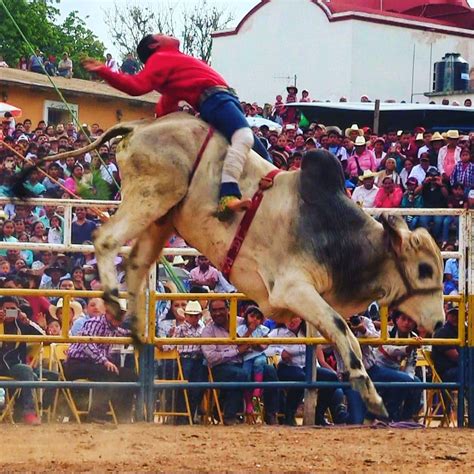 🇲🇽 Las Mejores Montas Del Jaripeo 🇲🇽