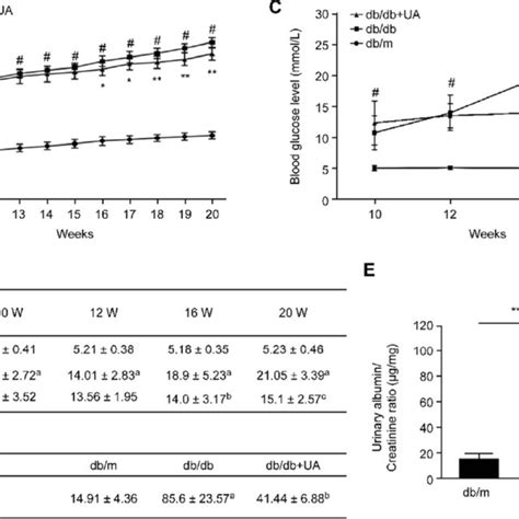 general characteristics of db db mice after ua treatment a weekly