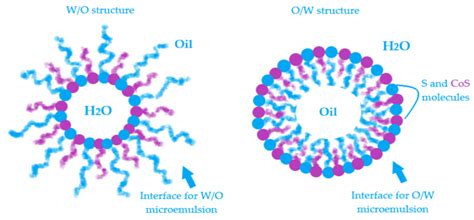 Microemulsion Design For Acne Therapy Encyclopedia Mdpi