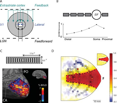 Figure 7 From Modeling Fmri Signals Can Provide Insights Into Neural