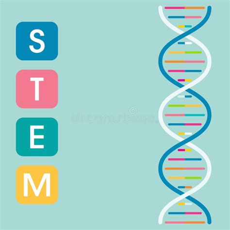 Stem Science Technology Engineering And Mathematics Vector Illustration