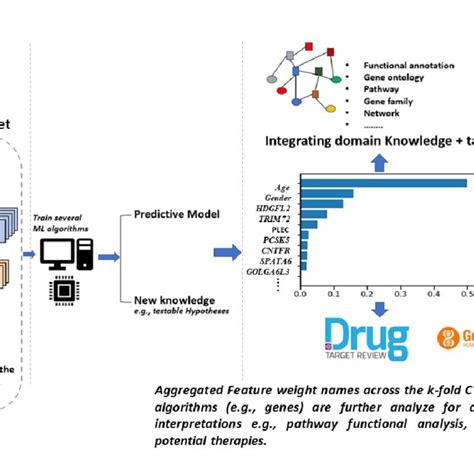 Proposed Interpretable Ml Framework For Biomedical Data Science Project