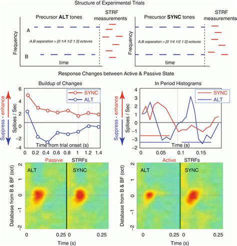 Temporal Coherence And The Streaming Of Complex Sounds Ento Key
