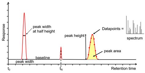 Gas Chromatography Principles Types And Working
