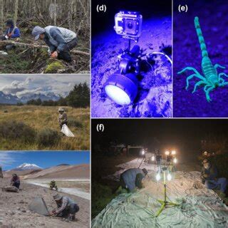 Application Of Sampling Methods In Different Areas Of The Country A Download Scientific