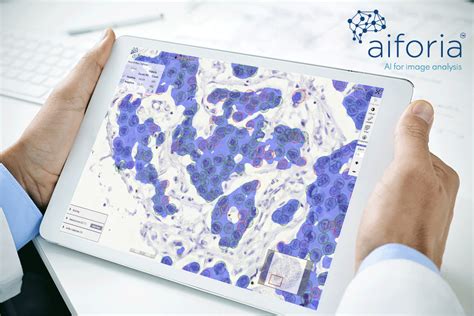 Empowering Pathologists With Artificial Intelligence Ai