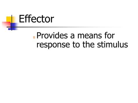 Ppt Chapter 1 The Human Body An Orientation Powerpoint Presentation