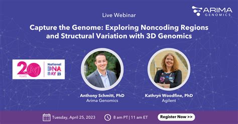 Capture The Genome Exploring Noncoding Regions And Structural