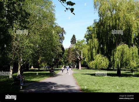 Path Through Ormeau Park The Oldest Municipal Park In Belfast Northern