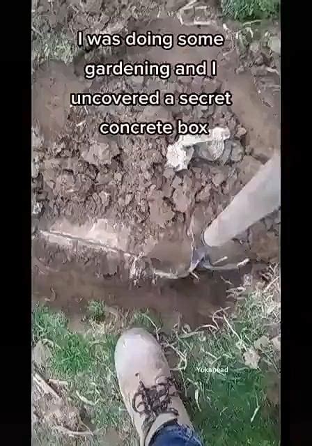 Mysterious Secret Box Hatch You Ran Away Because Of The Stench When You Were This Close To