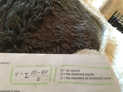 Chi Square Tests Flashcards Quizlet