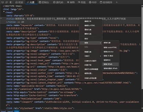python爬取网站小说实战 提取网站小说 csdn博客