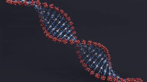 Self Assembling Helical Supramolecular Polymer Inspired By Nature