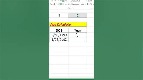 age calculate in excel exceltipsandtricks excelformula exceltech