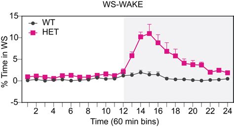 Preclinical Angelman Syndrome Research Psychogenics