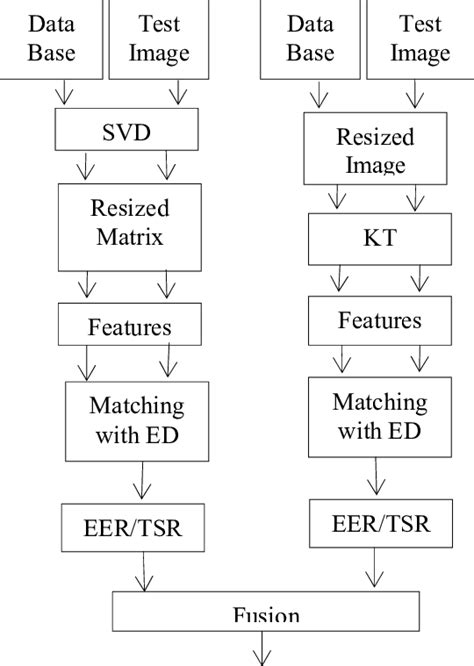 Samples Of Yale Face Database Download Scientific Diagram