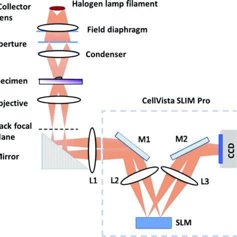 Schematic For Slim The Slim Module Is Attached To A Commercial Phase
