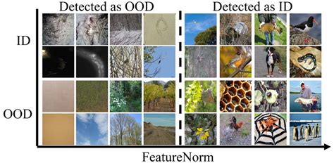 The Example Results Of Our Proposed Ood Detection Framework With A Download Scientific Diagram