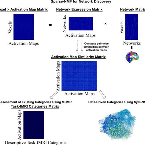 Illustration Of Data Driven Approach First Latent Network Activation Download Scientific