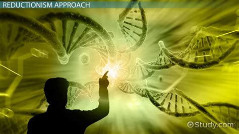 Reductionism In Biology Definition And Examples Video And Lesson