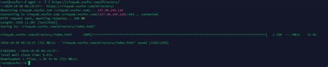 Mastering The Wget Command On Linux A Complete Guide
