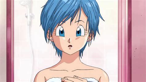 Bulma Briefimage Gallery Animevice Wiki Fandom Powered By Wikia