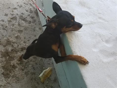 “АЗТАЙ САВАР АМЬТАНД ХАЙРТАЙ ЗАЛУУС ТББ Olson Shvv Tuuliin Hovoonoos 88933121 Share2