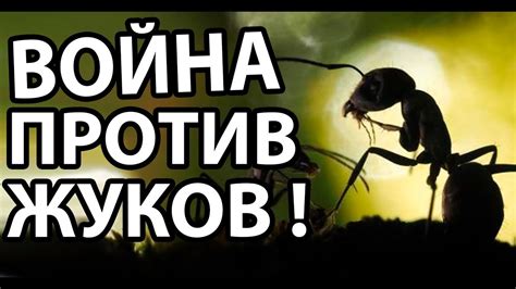 Война против ЖУКОВ ! - YouTube