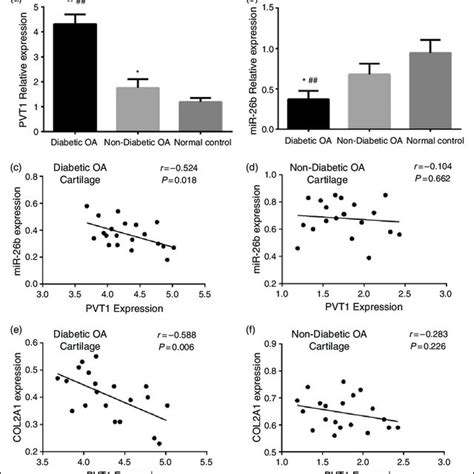 Quantitative Proteomics And Kegg Pathway Enrichment Analysis A