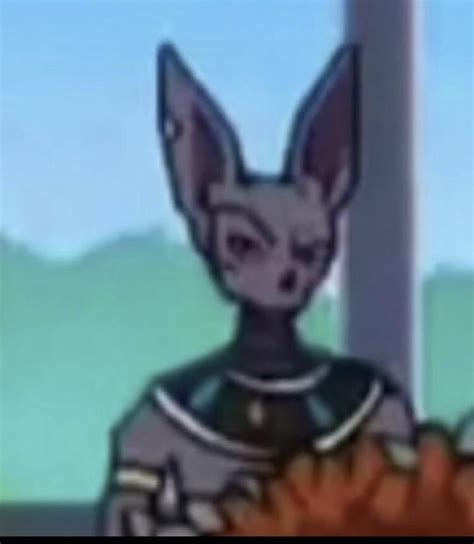 Broly What Is Sex Is It Better Than Water R Dragonballsuper