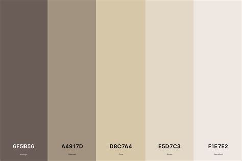 25 Best Tan Color Palettes With Names And Hex Codes Artofit