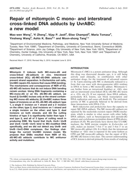 Pdf Repair Of Mitomycin C Mono And Interstrand Cross Linked Dna Adducts By Uvrabc A New Model