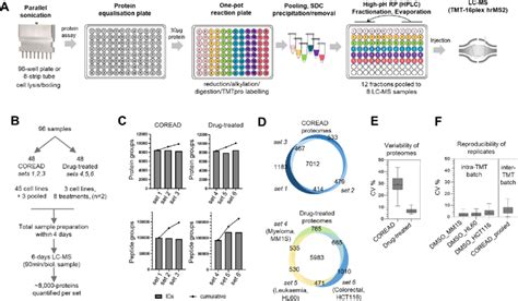Development Of A Multibatch Isobaric Tagging Workflow For Quantitative
