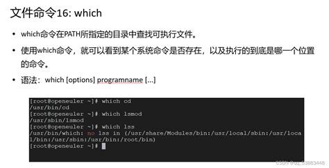 Linux笔记 CSDN博客