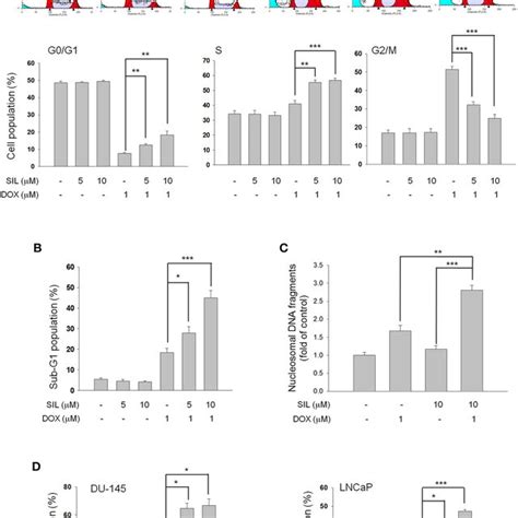 Effect Of Doxorubicin Dox And Sildenafil Sil On Cell Cycle Download Scientific Diagram