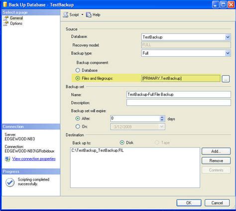 Sql Server File Backups