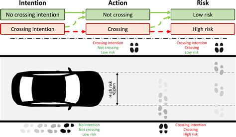 Diving Deeper Into Pedestrian Behavior Understanding Intention Estimation Action Prediction