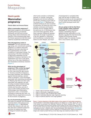 Sign Diagrams Solutions Sets And Intervals The University Of Sydney MOOC Introduction To