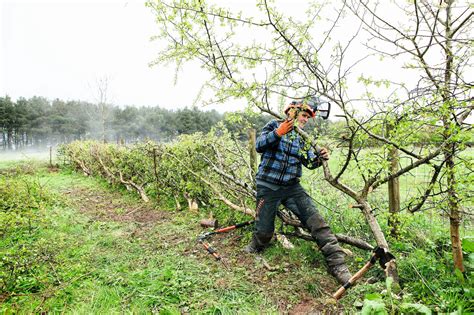 Living On The Hedge The Art Of Hedgelaying Country Life